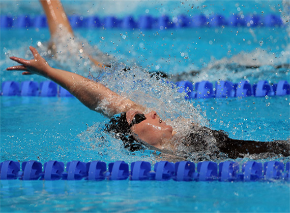 Swimming Bay of Plenty
