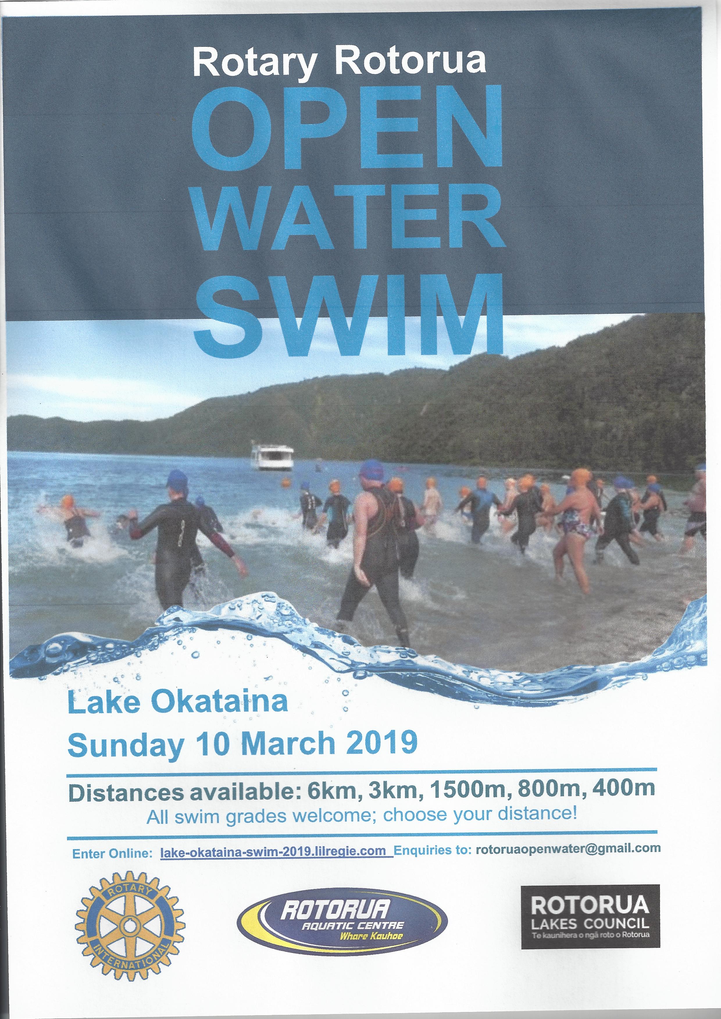 Swimming Bay of Plenty